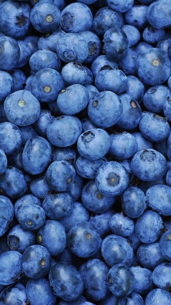Chat With The Blueberry Curse | Tipsy Chat AI Character